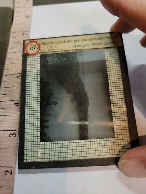 Glass Magic Lantern Slide SCIENCE (forests, fields or Prairies) in ...