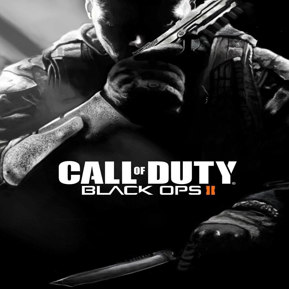 Call of Duty Black Ops II 2 PC STEAM Online Digital Global (No Key ...