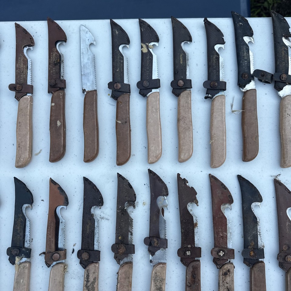 RARE VINTAGE ANDERSON KNIVES GLENDALE CALIF HUNTING FISHING KNIFE LOT ...