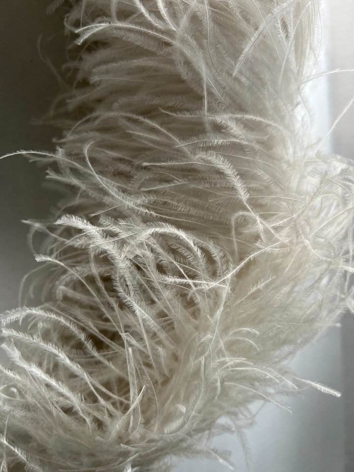 ANTIQUE VICTORIAN EDWARDIAN HUGE 26 INCH MILLINERY WHITE OSTRICH HAT ...