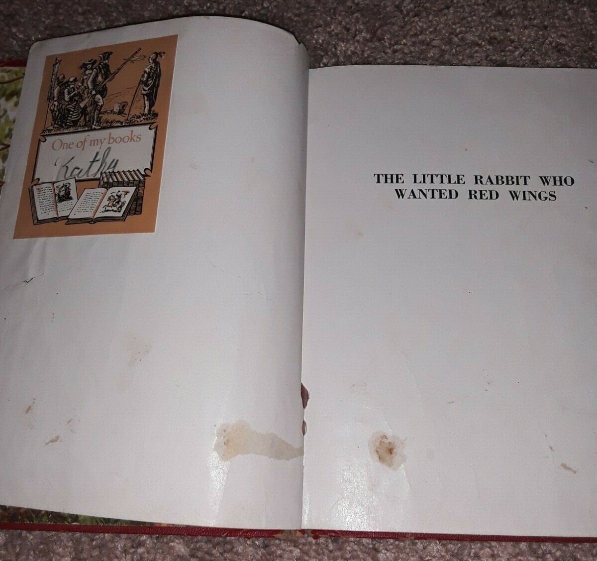 The Little Rabbit Who Wanted Red Wings Carolyn Sherwin Bailey 1945 ...