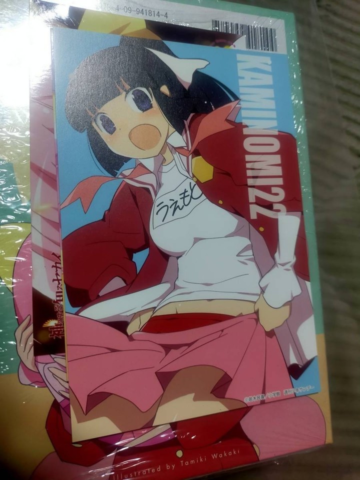 The World God Only Knows 22 Limited Edition mit OVA Comics Ungelesen ...