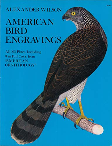 AMERICAN BIRD ENGRAVINGS: ALL 103 PLATES FROM AMERICAN By Alexander ...