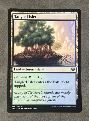 DOMINARIA UNITED / DMU MTG Dual Lands - Set of ALL 10 - Typed Fetchable ...