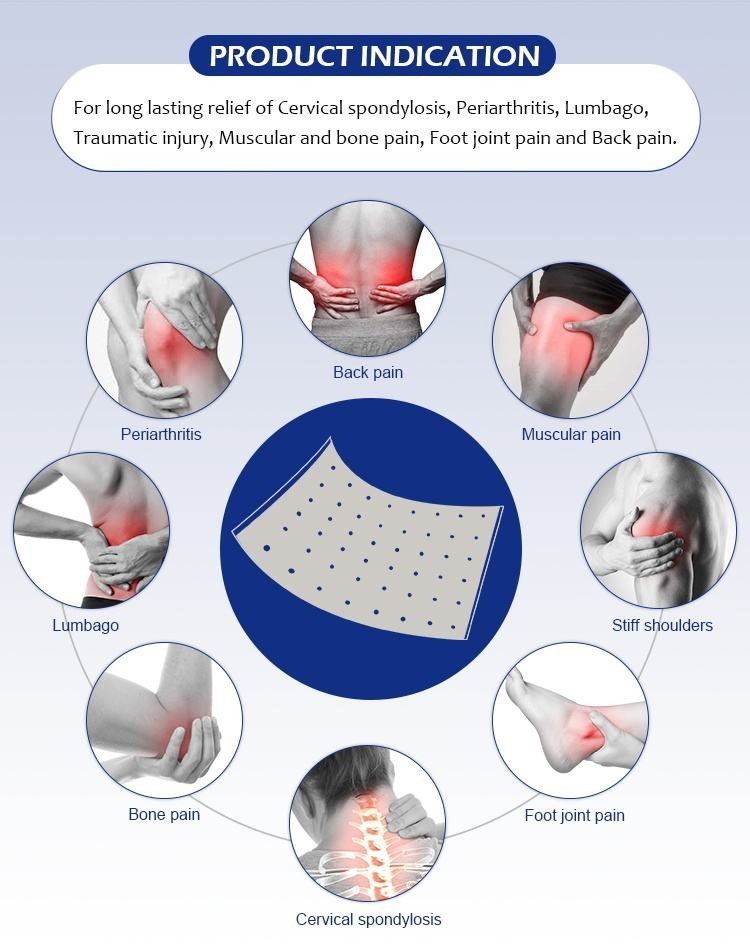 50 patches Chili Koyo Muscle Joint Pain Relief Heat Patches for Aches ...