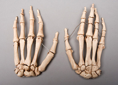 Halloween Horror Aged Skeleton Hands Life-Size Human Skeleton, Left ...