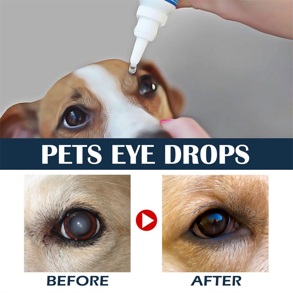 Pet Eye Drops Cataract Drops For Pet Eye Lubricant Drop Lanosterol ...
