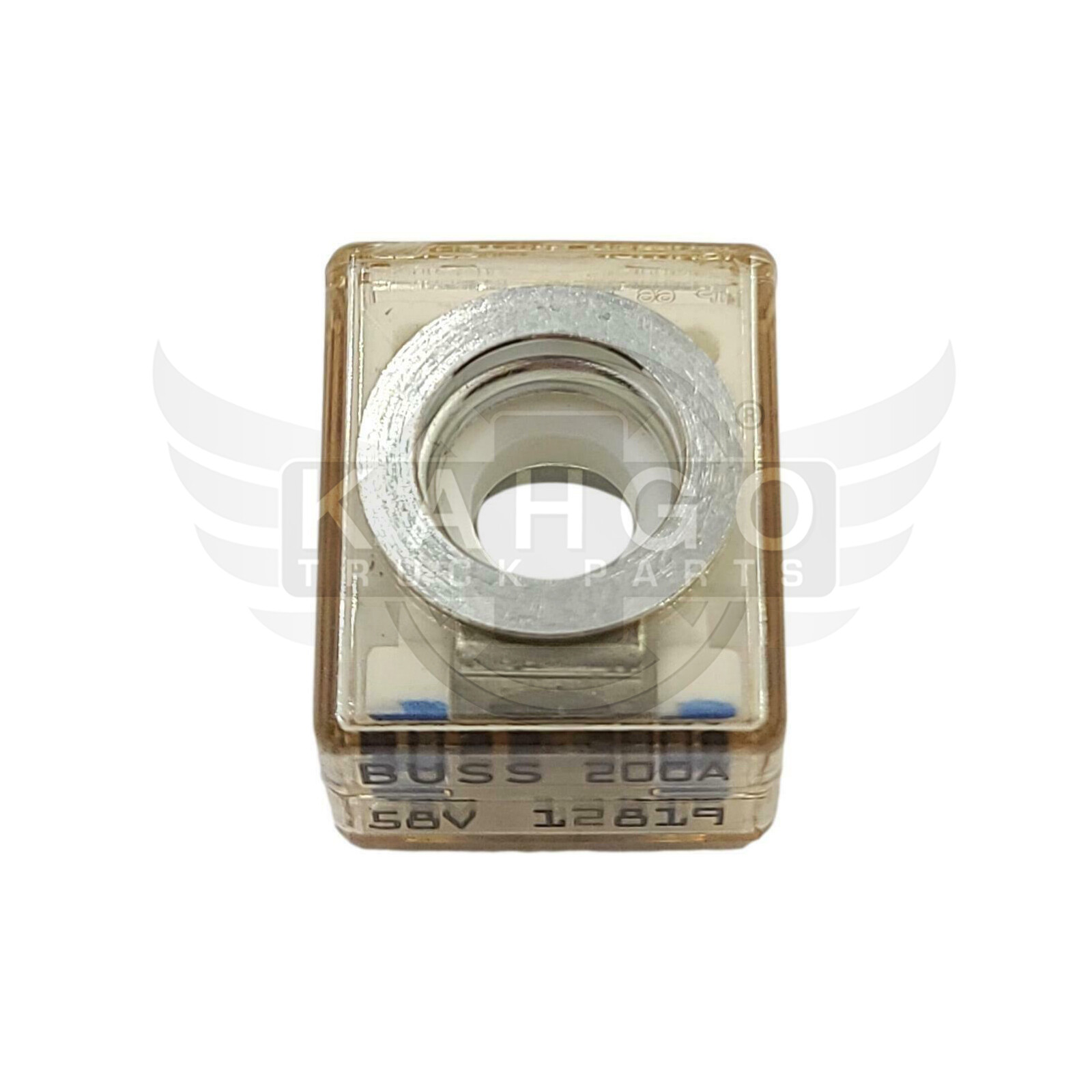 OEM INTERNATIONAL BATTERY FUSE 3660996C1 | eBay