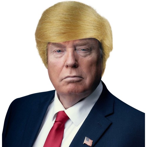 Blonde USA President Halloween Donald Trump Fancy Dress Costume Wig | eBay