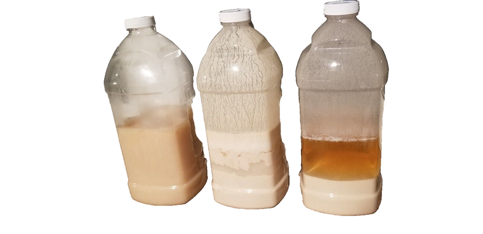 25 Gallons - Liquid Fence Concentrate Clone Repellent - Deer - Makes ...