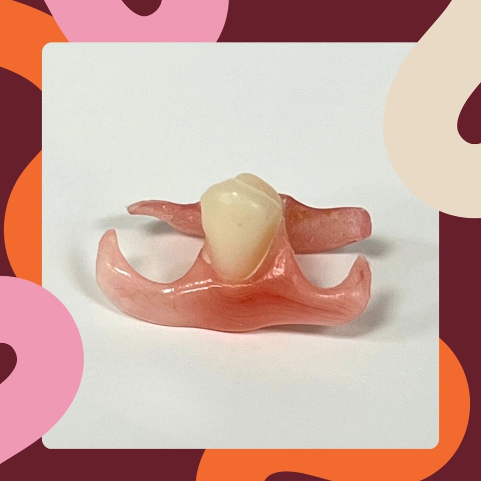 Nesbit, Flexi Flipper, Molar Flipper, Missing Canine Tooth, Flipper ...