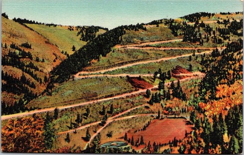 Postcard NM Red River Pass Red River New Mexico | eBay