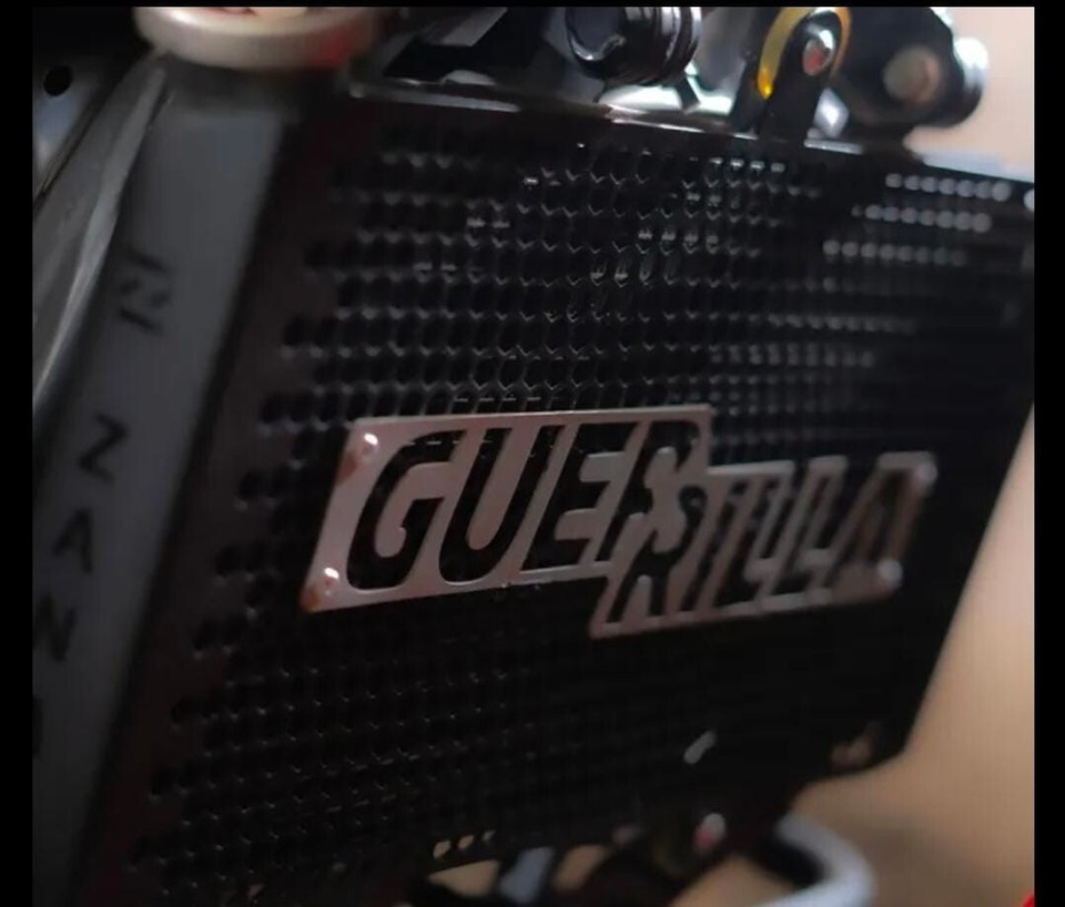"RADIATOR GUARD TYPE 2, BLACK" FIT FOR ROYAL ENFIELD GUERRILLA 450 | eBay