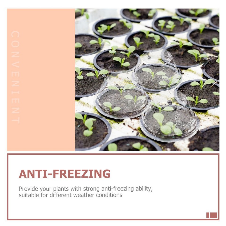 100 Pcs Transparent Hydroponics Growing Cover Clear Plant Cloche Cups ...