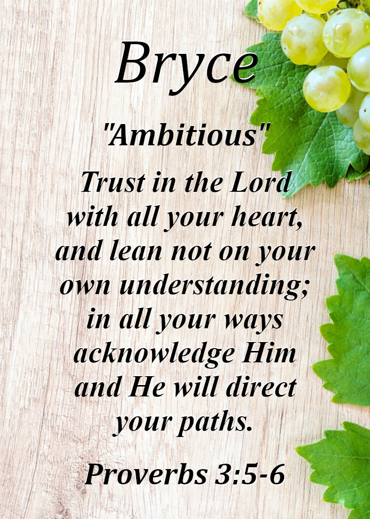Bryce "Ambitious" Keepsake Name Meaning Card with Bible Verse | eBay
