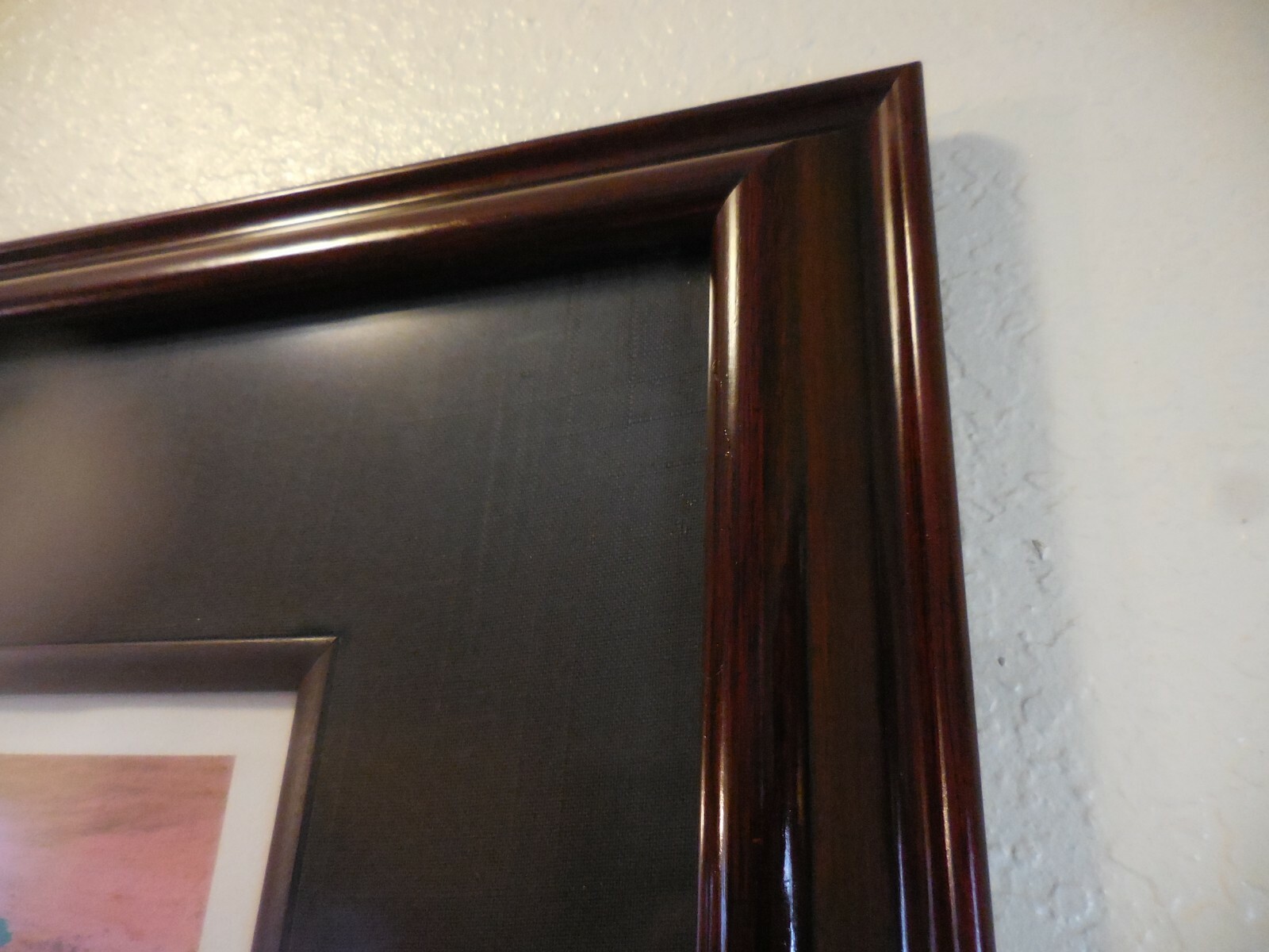 Limited Ed AP 1/5 Paint Embellished Lithograph "Rainbow Warrior" Robert ...