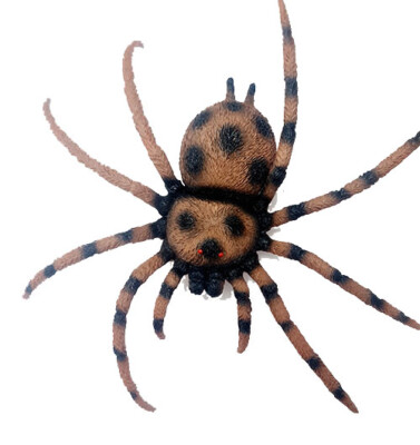 Spider BIG Geocaching Cache Special Unusual Forest Animal Tube | eBay