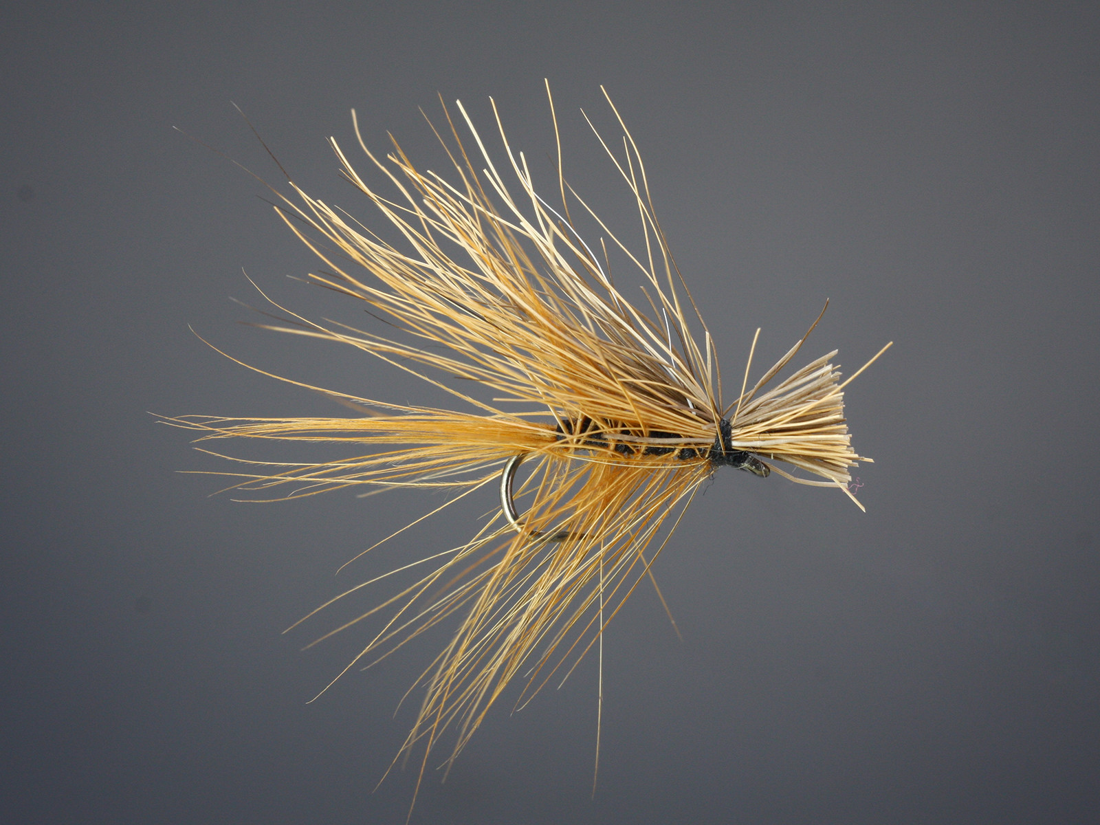 40Pcs Caddis Fly Patterns Dry Flies Trout Fly Fishing Lures H038 | eBay