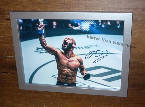 Demetrious Johnson MMA Mixed Martial Arts Signed Photo Image Framed UV ...