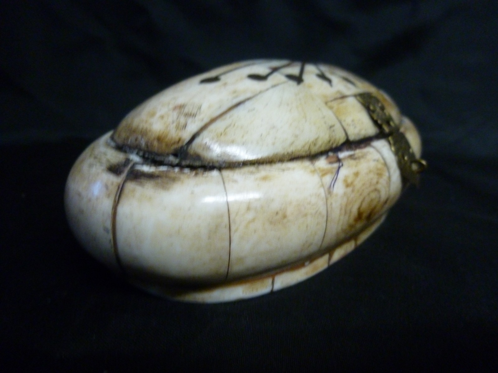 Antique Oval Bovine bone Trinket box with Brass inlay 14.5cm x 7.5cm ...