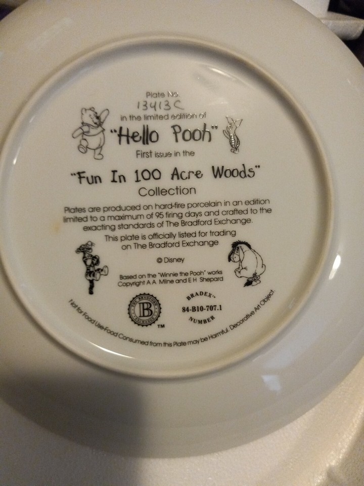 HELLO POOH PLATE Bradford Disney “Fun In 100 Acre Woods” WINNIE The ...