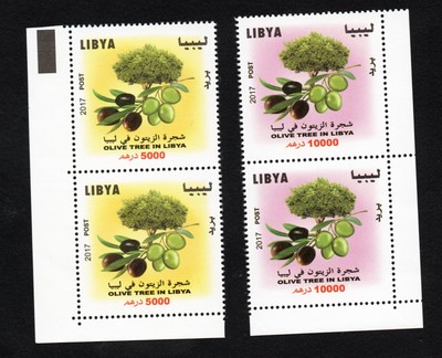 2017- Libya- Libye - Olive trees in Libya- Les oliviers en Libye- Pair ...