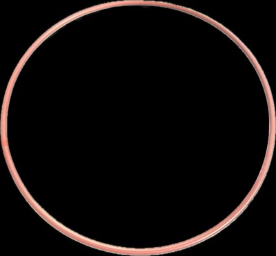Chemglass CG-147 Oring For Reaction Vessel & Lid 150mm FEP Encapsulated ...