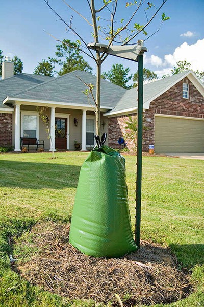 Treegator Original Slow Release Watering Bag for Trees 98183R for sale ...