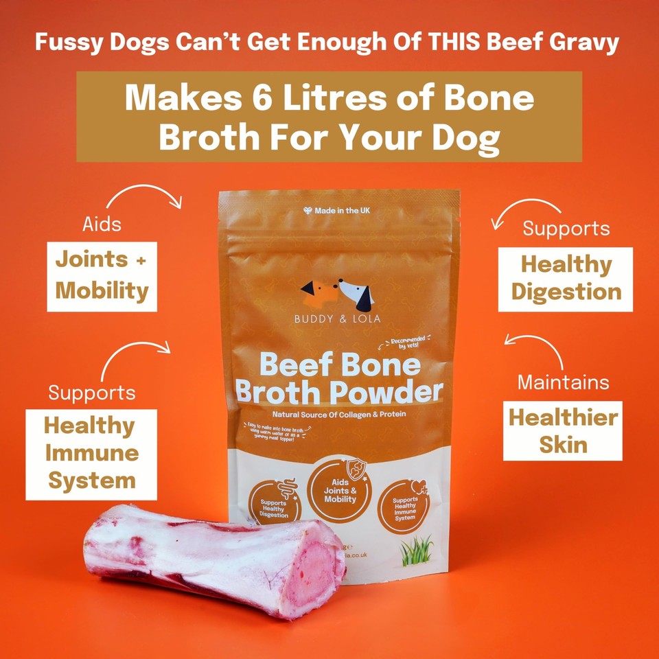 Beef Bone Broth Powder | 100% Pure Broth Protein Powder for Dogs ...