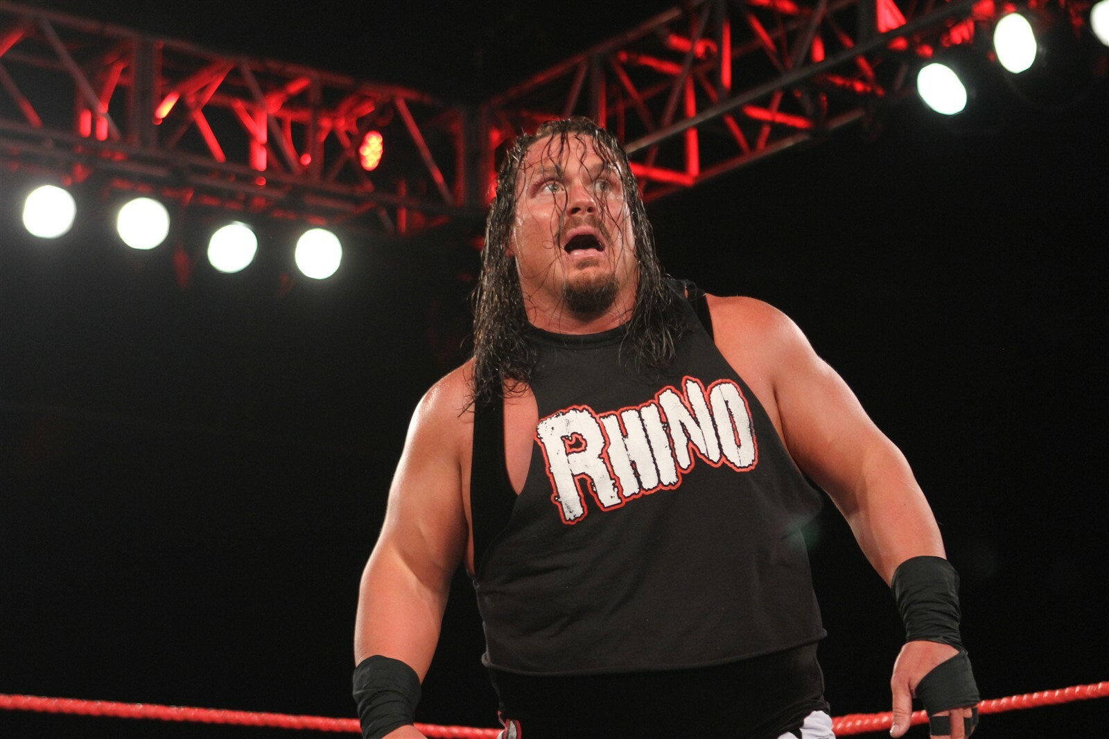 RHINO 8x10 COLOR PHOTO ROH ECW WWE NXT TNA AEW HOUSE of HARDCORE | eBay