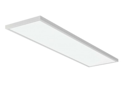 Lithonia Lighting 1 ft. x 4 ft White Lumen Selectable Integrated LED ...