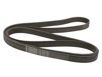 Multi Rib Belt 39ZCRS16 for CL600 CL65 AMG G65 Maybach S600 S650 S680 ...