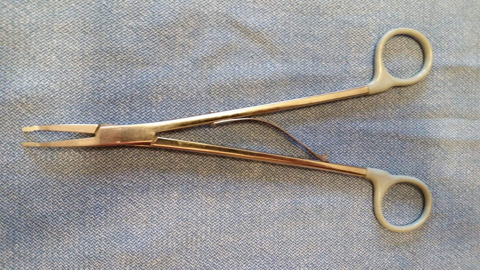 Weck 523110 523110M Surgical Applicator Forceps 8" | eBay