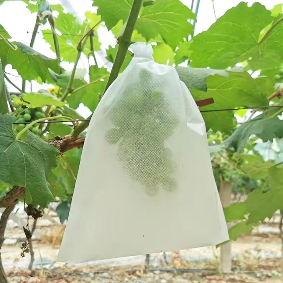 Non-woven Fabric Fruit Vegetable Grape Protection Bags Pouch Bag X1 ...