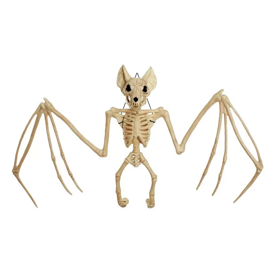 Giant Bat Skeleton