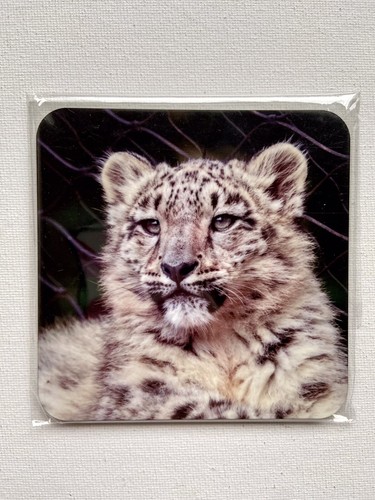 Snow Leopard Coasters | eBay