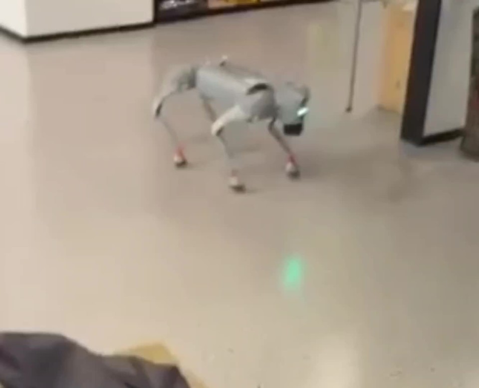 UNITREE - GO 2 AIR DOG Bionic Quadruped Robot Dog APP intelligent ...