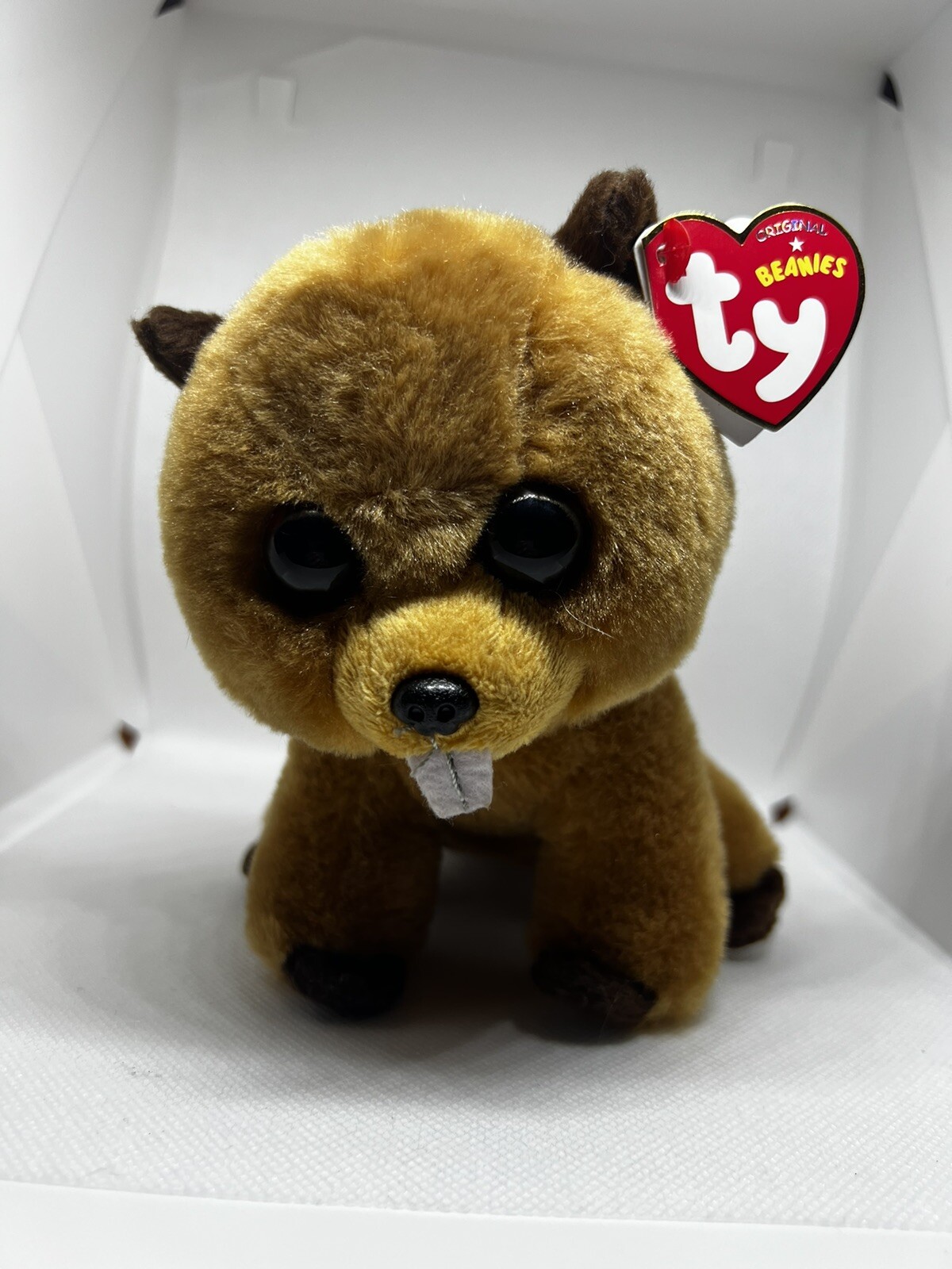 Beanie Babies- RICHIE THE BEAVER- 6” | eBay