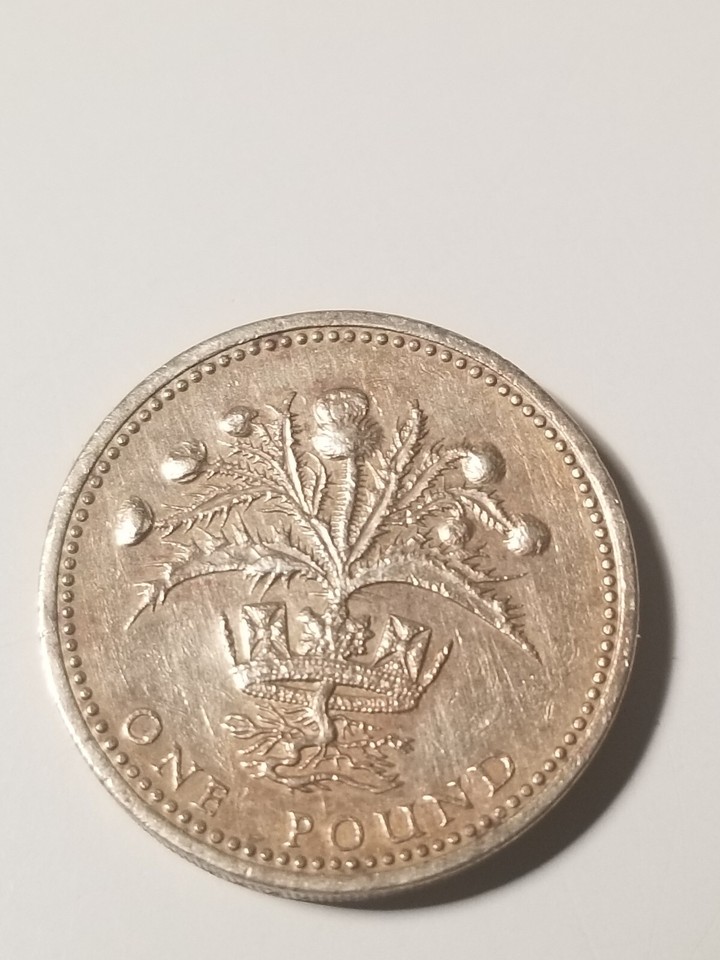 1985 Queen Elizabeth II D G REG F D One Pound Coin | eBay