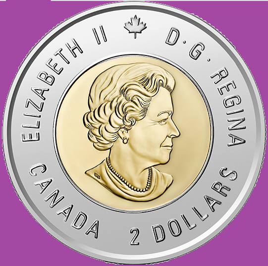 Set of Six 2021 to 2024 Canada Colored Toonie Coins i/c Black Ring $2 ...