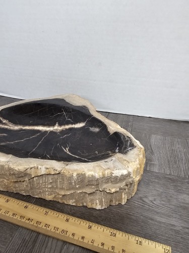 Natural Beauty! Petrified Wood Trinket Dish/Bowl/Cigar Ashtray Fossils ...