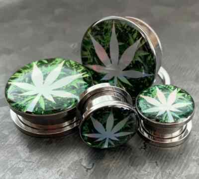 PAIR Hologram Pot Leaf Screw Fit Tunnels Ear Plugs Gauges Earlets Body ...