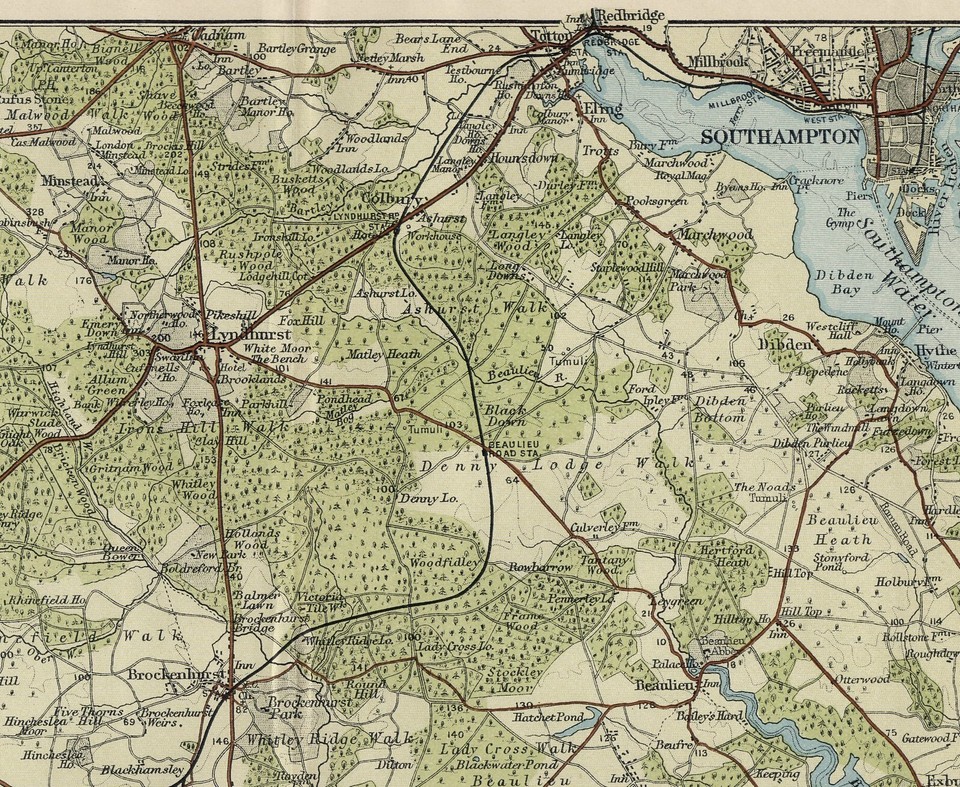 1924 ORIGINAL VINTAGE MAP OF THE NEW FOREST SOUTHAMPTON / ENGLAND | eBay UK