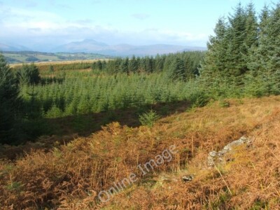 Photo 6x4 Forestry land north of Pappert Hill Bonhill For the main ...