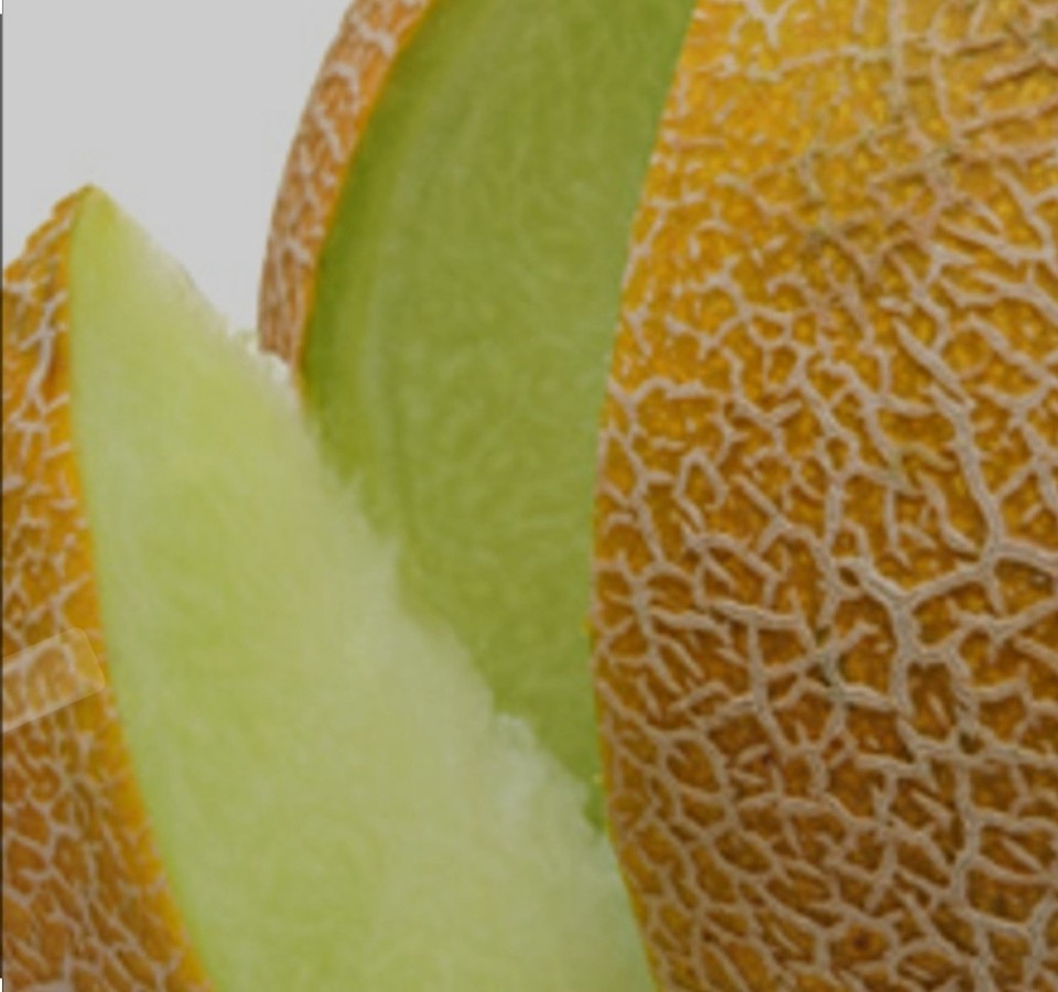 Lemon Drop Honeydew Melon Seeds 10 Organic Seeds RARE *Free Shipping ...