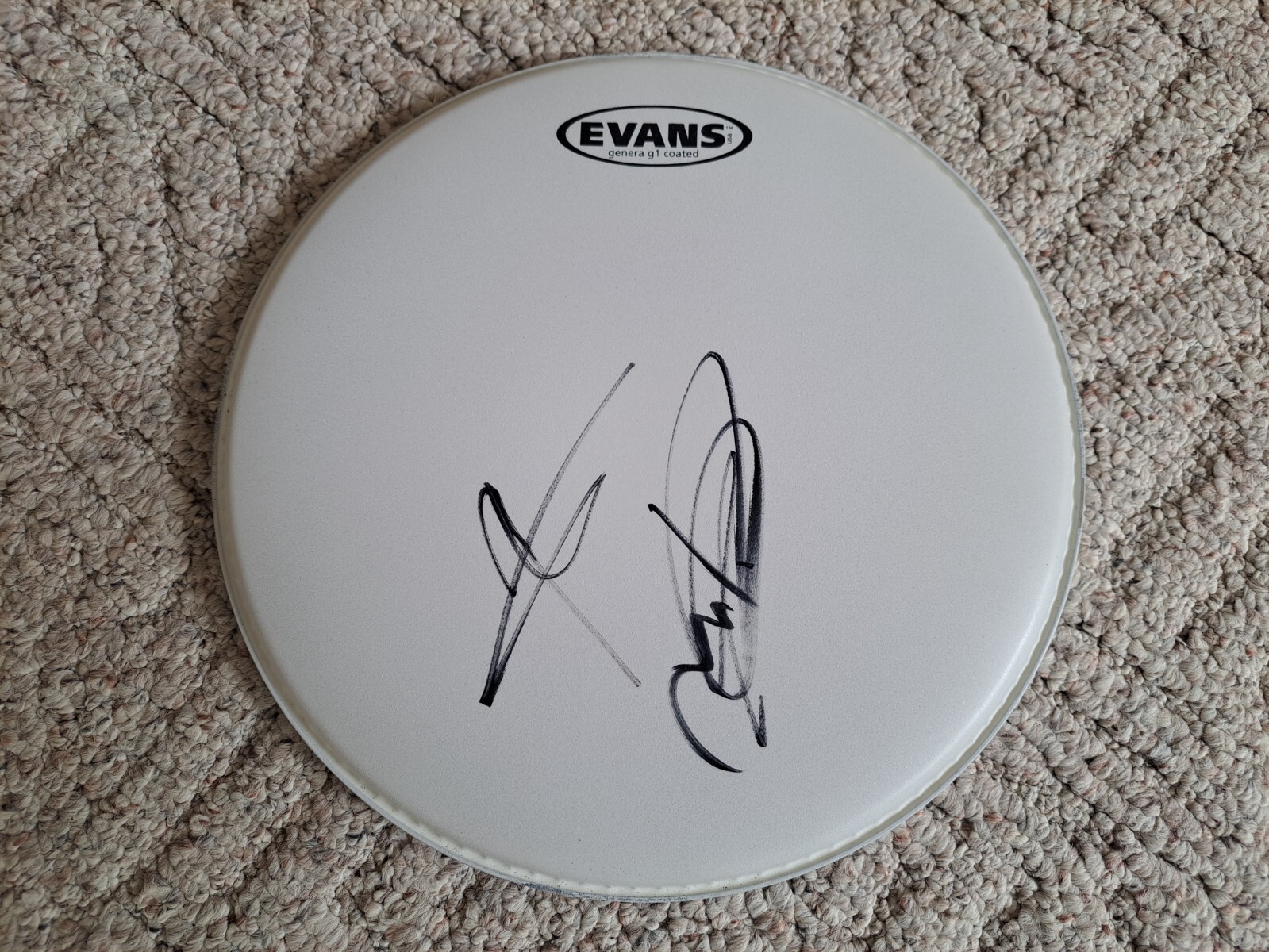ALTERBRIDGE MYLES KENNEDY MARK TREMONTI AUTOGRAPHED 12" EVANS G1 ...