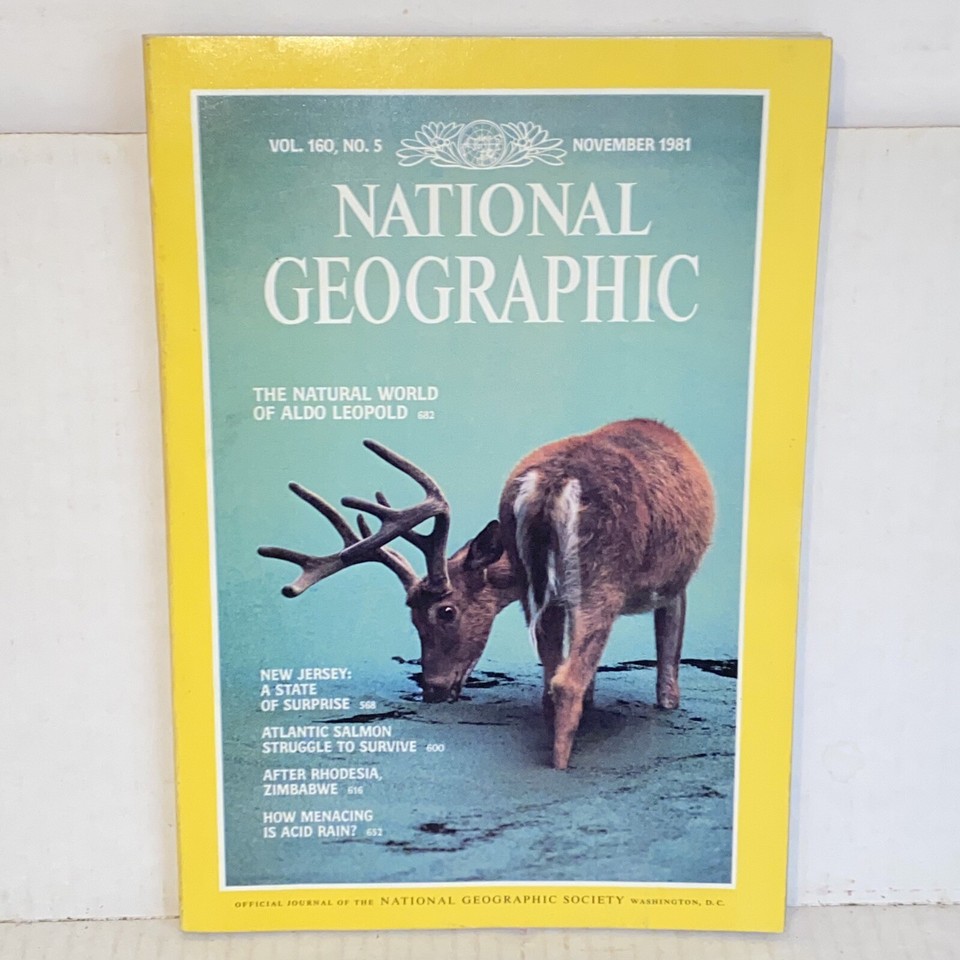 Vintage November 1981 National Geographic Magazine Atlantic Salmon Aldo ...