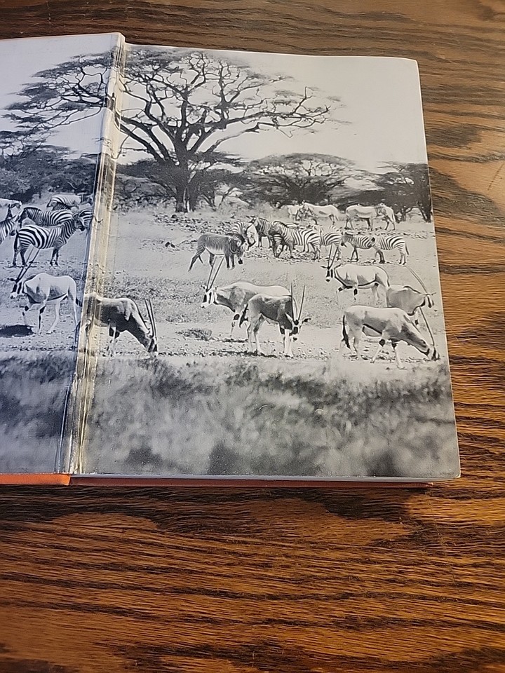 Mrs Martin Johnson / OSA JOHNSON'S JUNGLE FRIENDS Signed 2nd Edition ...