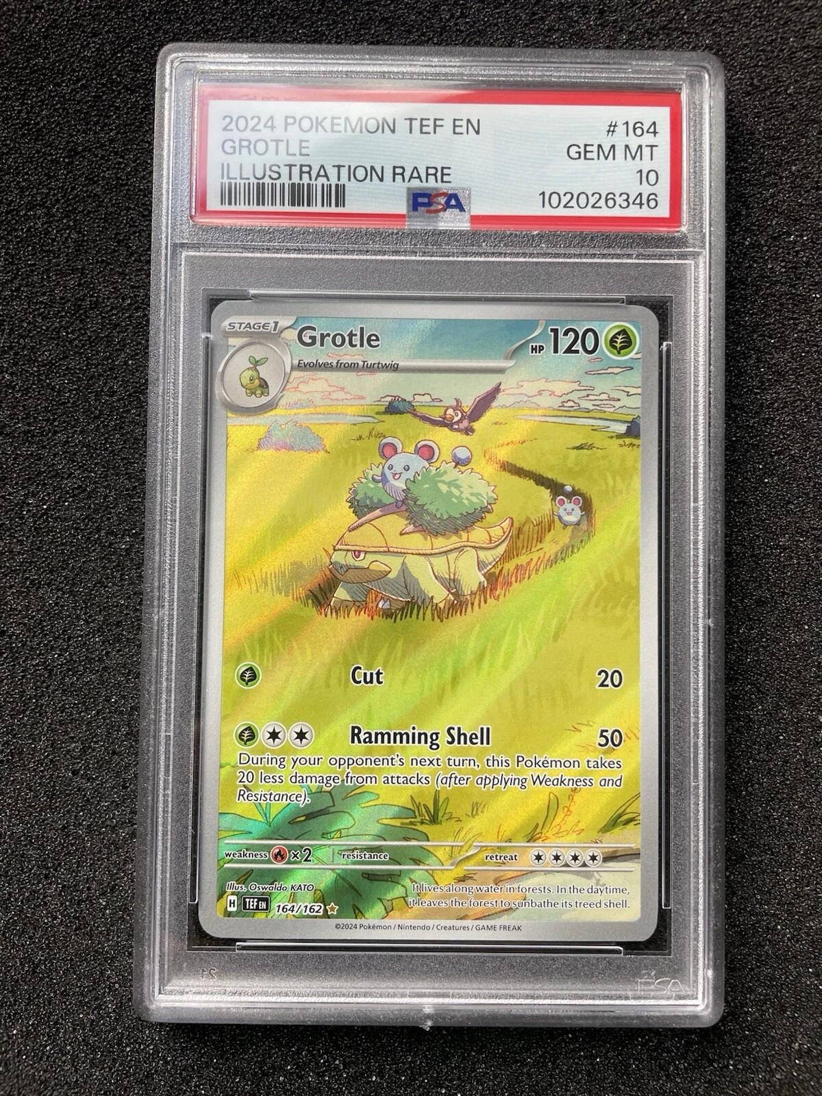 Grotle 2024 Scarlet & Violet: Temporal Forces #164/162 Illustration ...