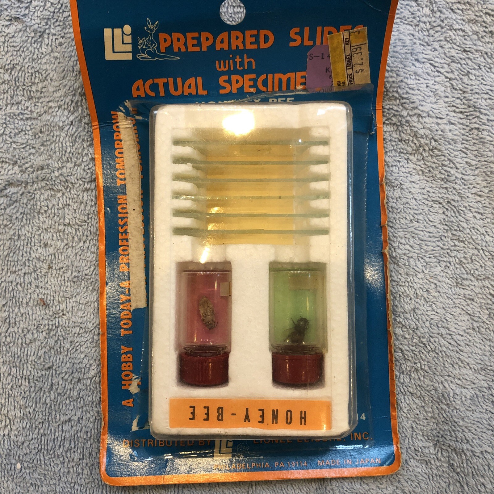 Microscope Prepared Slides, Lionel Leisure Vintage, Japan | eBay